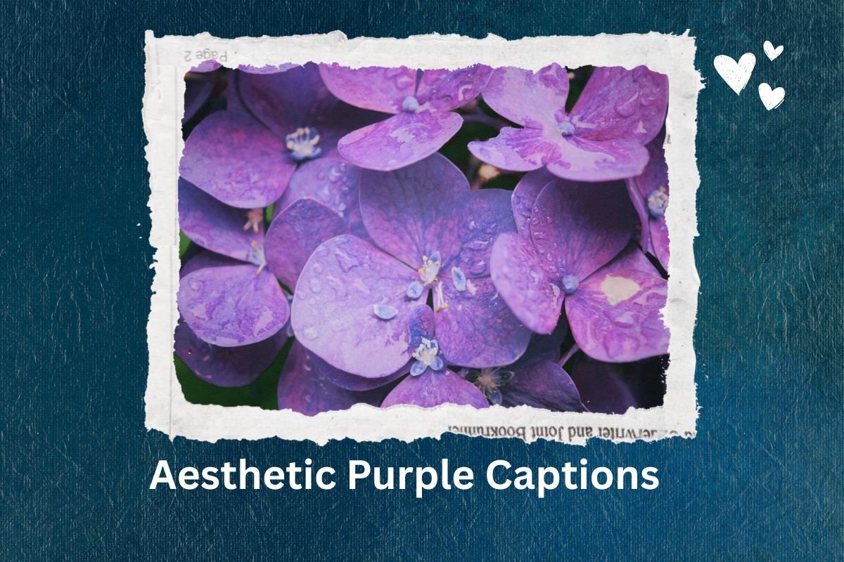 Aesthetic Purple Captions for Instagram Post